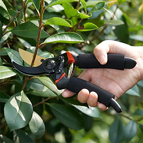 8" Professional pruners for tree trimming,rose snips,rose cutters tools,gardening shears,garden shears,Bypass Pruning Shears,Hand Pruners