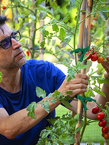 197 Ft Plant Ties for Climbing Plants, Stretching Garden Plant Tape, Soft Reusable Garden Twist Wire Strings for Tomato Cucumber Vine Plants Sapling Supports Training Staking Outdoor Indoor