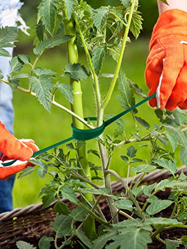 197 Ft Plant Ties for Climbing Plants, Stretching Garden Plant Tape, Soft Reusable Garden Twist Wire Strings for Tomato Cucumber Vine Plants Sapling Supports Training Staking Outdoor Indoor