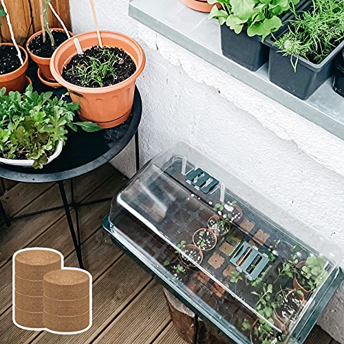 ZeeDix 50pcs(30mm) Compressed Coco Coir Fiber Potting Soil- Coir Medium, Coconut Soil for Indoors or Outdoors, Bonsai, Herbs, Plants, Flowers and Vegetables