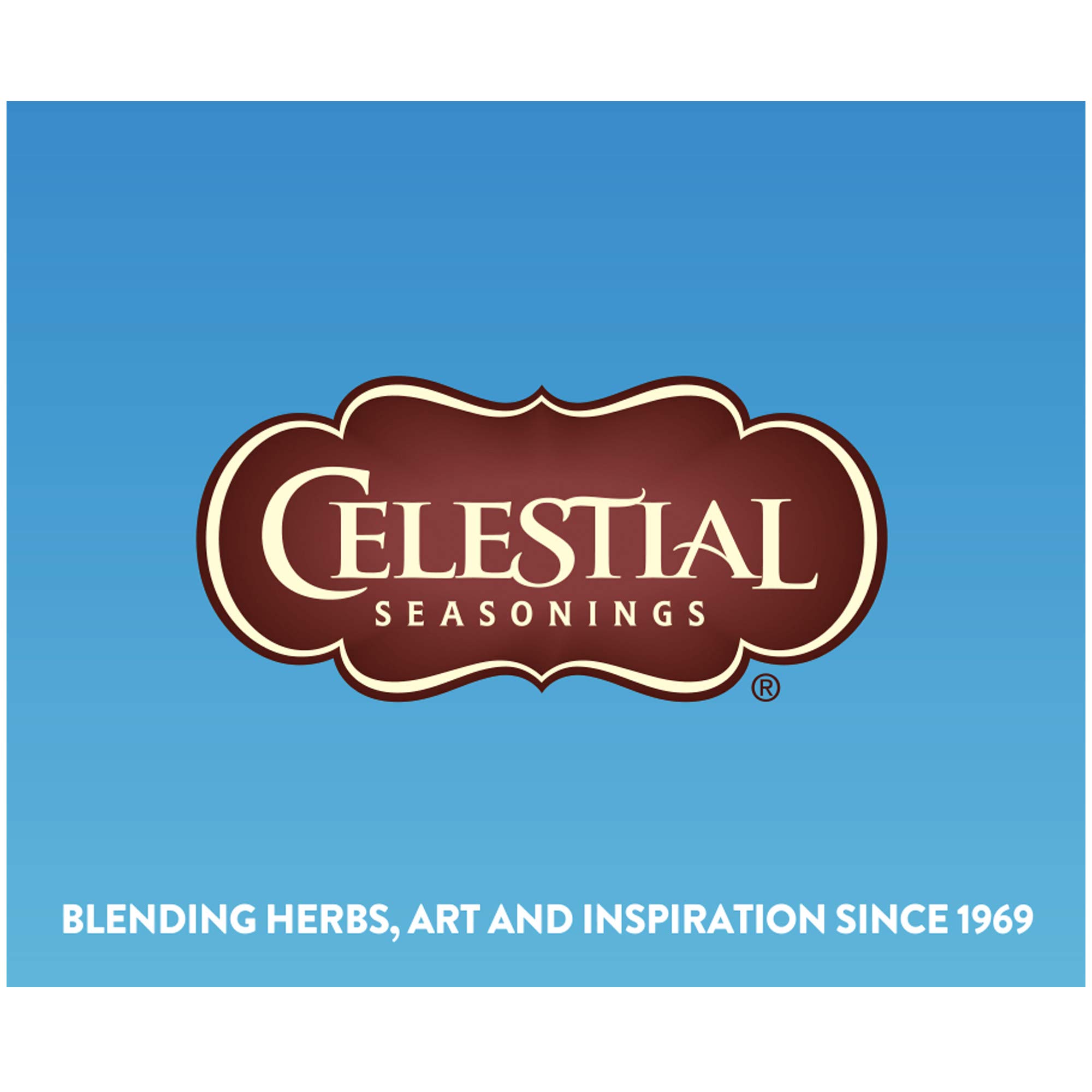 Celestial Seasonings Cold Brew Unsweetened Black Tea Iced 18 tea bags