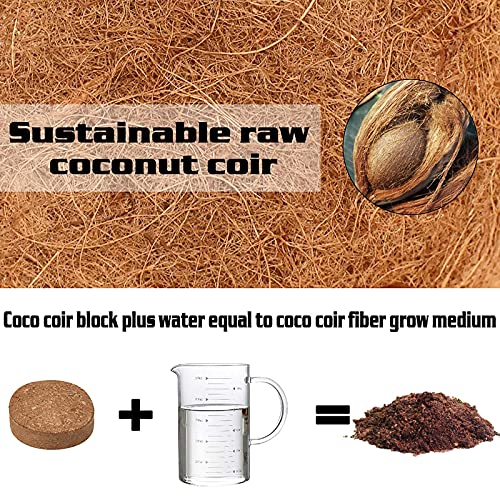 ZeeDix 50pcs(30mm) Compressed Coco Coir Fiber Potting Soil- Coir Medium, Coconut Soil for Indoors or Outdoors, Bonsai, Herbs, Plants, Flowers and Vegetables
