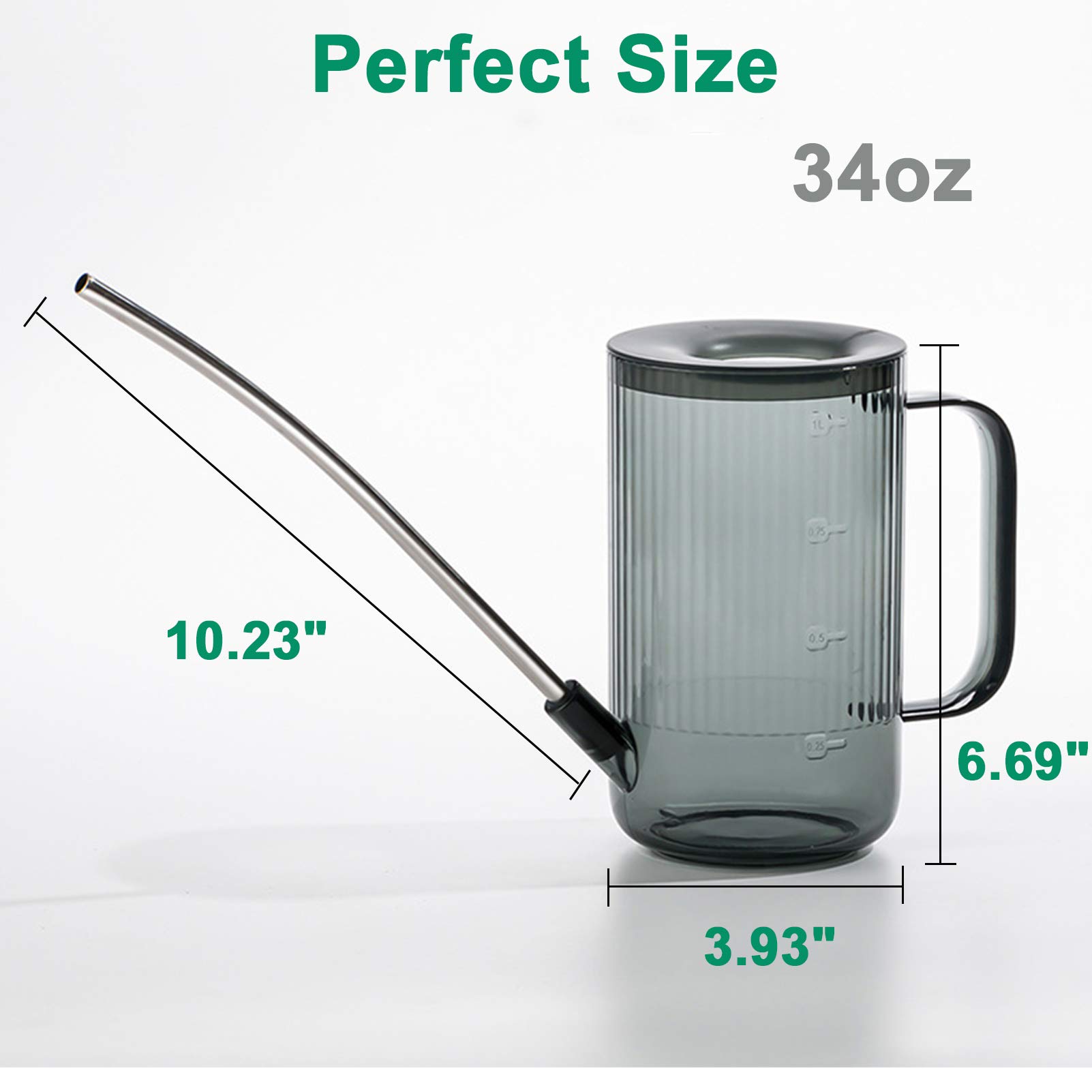 Long Spout Watering Can Indoor, Small Watering Cans for House Plants, Flowers, Succulents, 34oz (Grey)