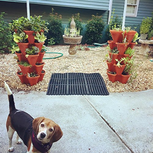 Large 64 Quart Stackable Planter 5-Pack - Grow More in Less Space - Plant Pots and Stack - DIY Vertical Gardening System - for Growing Veggies, Herbs, Garden Greens, Starwberries (Terracotta)
