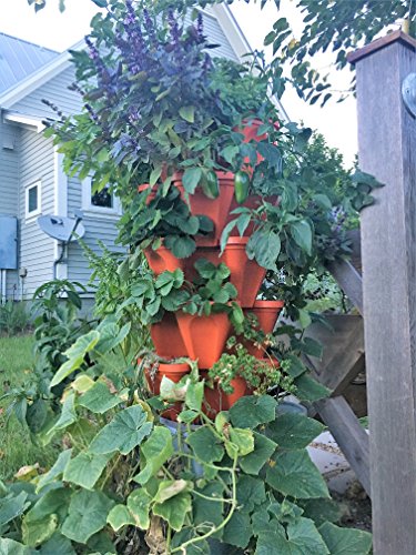 Large 64 Quart Stackable Planter 5-Pack - Grow More in Less Space - Plant Pots and Stack - DIY Vertical Gardening System - for Growing Veggies, Herbs, Garden Greens, Starwberries (Terracotta)