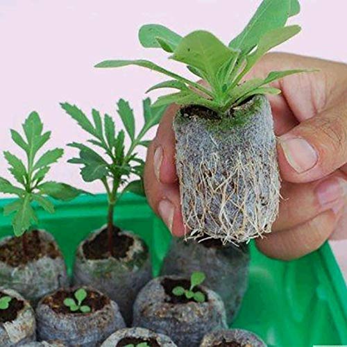 changsha 120 Pcs Peat Pellet - 30mm Plant Pallet Seedling Soil Block,Plant Starting Plugs Peat Pellets Bulk for Plant Starter Pellet ,Transplanting Growing Garden Flower Vegetables (120)