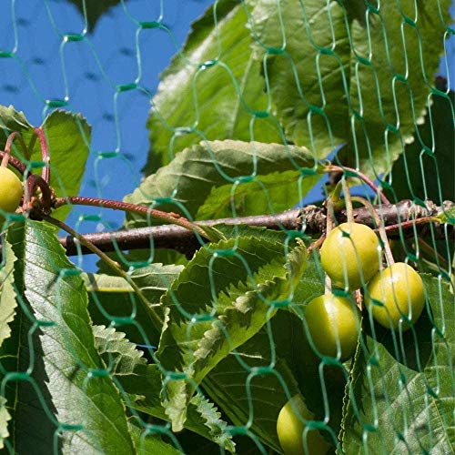 33 Ft x 6.5 Ft Green Anti Bird Netting Garden Protection Mesh Net Reusable Protective Garden Netting for Plants Fruit Trees Against Birds,Deer and Other Animals,Netting Fence (33 x 6.5 ft)