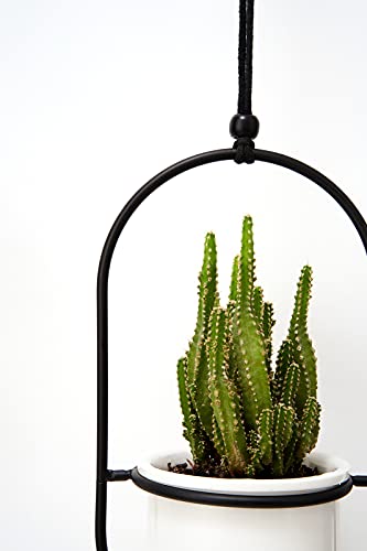 Mkono Mini Hanging Planters Indoor Herb Garden for Window, 3.5" Ceramic Plant Pot in 3 Different Metal Plant Hangers with Drainage Holes for Indoor Plants, Black/White