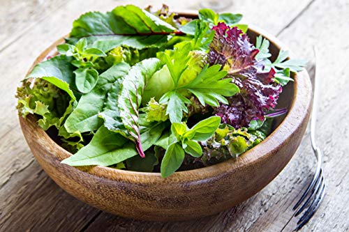Lettuce Mix Seeds for Planting - Hydroponics - 500 Heirloom Seeds Variety Packet!