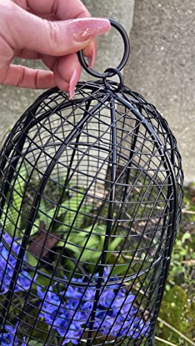 RUAFOX 6 Pack Metal Garden Cloches - 20" High Plant Cover - Weather Resistant Wire Plant Dome - Rustic Farmhouse Chic Decor - with 12 Copper Labels