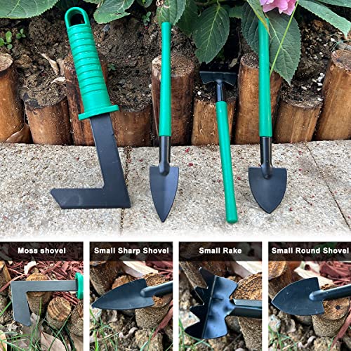KENNEDICH Garden Tools Set,Stainless Steel Garden Planting Tools Kit with Green Carrying Case, Ideal Gardening Gift (10 PCS )