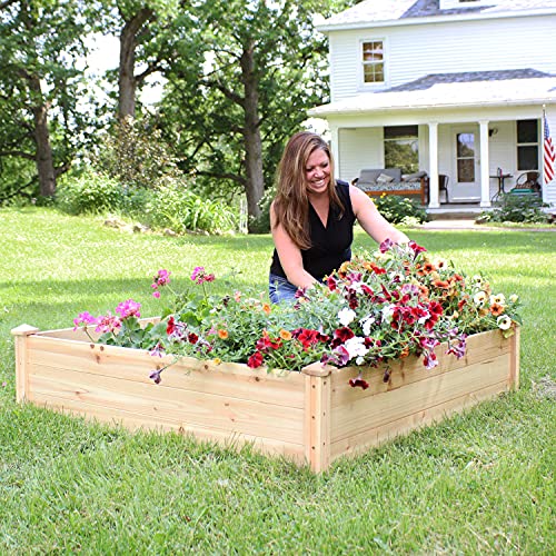 Sunnydaze Outdoor Square Wood Raised Garden Bed - 48-Inch Square - Elevated Planter Box for Flower, Vegetable, and Herb Gardening - Perfect for Garden or Yard