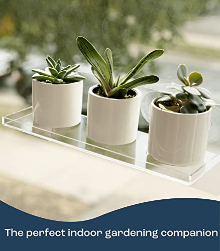 Window Shelf For Plants | EXTRA STURDY Loading-Bearing Brace with Powerful Suction Cup Shelf | Window Sill Extender For Plants | Herbs, Succulent, Indoor Plants, Acrylic Window Sill Extender