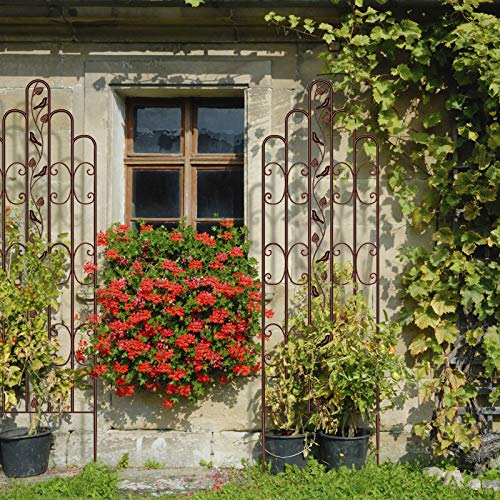 Amagabeli 2 Pack Large Garden Trellis 71β x 21β Heavy Duty Rustproof Brown Iron Plant Trellis for Potted Plant Support Tall Wall Metal Trellis for Rose Vine Vegetable Cucumber