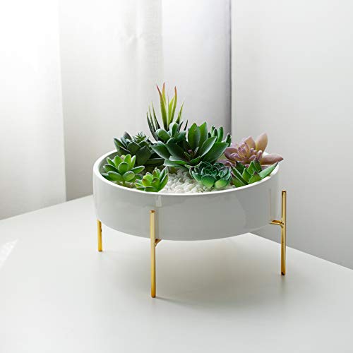 kimisty 10 Inch Large Round Succulent Planter Bowl with Gold Metal Plant Stand, White Ceramic Pot with Drainage, Succulent Garden Shallow Pot, Centerpiece Tabletop