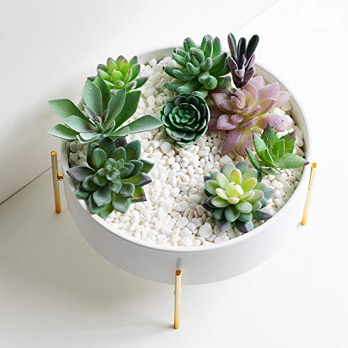 kimisty 10 Inch Large Round Succulent Planter Bowl with Gold Metal Plant Stand, White Ceramic Pot with Drainage, Succulent Garden Shallow Pot, Centerpiece Tabletop