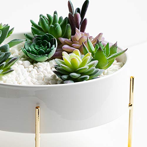 kimisty 10 Inch Large Round Succulent Planter Bowl with Gold Metal Plant Stand, White Ceramic Pot with Drainage, Succulent Garden Shallow Pot, Centerpiece Tabletop