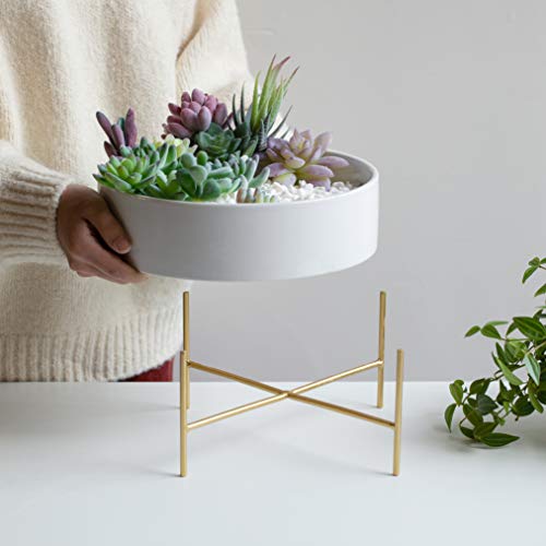 kimisty 10 Inch Large Round Succulent Planter Bowl with Gold Metal Plant Stand, White Ceramic Pot with Drainage, Succulent Garden Shallow Pot, Centerpiece Tabletop