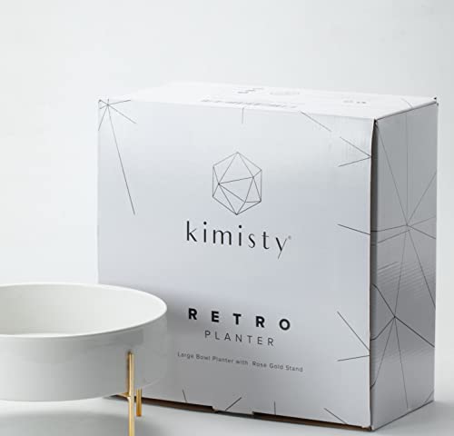 kimisty 10 Inch Large Round Succulent Planter Bowl with Gold Metal Plant Stand, White Ceramic Pot with Drainage, Succulent Garden Shallow Pot, Centerpiece Tabletop