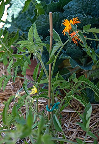 Twigs GA - SUPER Sof-T-Tie. (Single Pack) Soft, Foam Covered Wire for Plant Support. Great Tomato Ties , Grape Ties. Any Fast Growing, Fragile Plant in the Garden Ties.