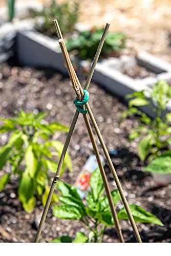 Twigs GA - SUPER Sof-T-Tie. (Single Pack) Soft, Foam Covered Wire for Plant Support. Great Tomato Ties , Grape Ties. Any Fast Growing, Fragile Plant in the Garden Ties.