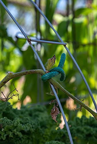 Twigs GA - SUPER Sof-T-Tie. (Single Pack) Soft, Foam Covered Wire for Plant Support. Great Tomato Ties , Grape Ties. Any Fast Growing, Fragile Plant in the Garden Ties.