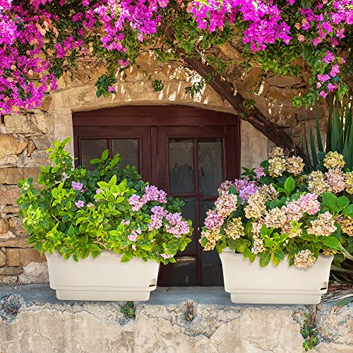 Amazing Creation Self Watering Planters Rectangular Planter Box, Windowsill Garden Bed, Planters for Outdoor Plants, Planters for Indoor Plants, Flowers, Herbs, Succulents, Beige, (2 Pack)