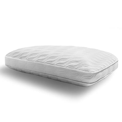 Tempur-Pedic TEMPUR-Cloud ProHi Memory Foam, Pillow, Queen (Pack of 1), White