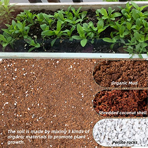 6 Qt Potting Soil, Organic Potting Mix for Indoor and Outdoor Plants, Succulent and Cactus Soil Potting Mix with Fast Draining Formula Natural Mixture Bonsai Soil for Plant Fast Growing