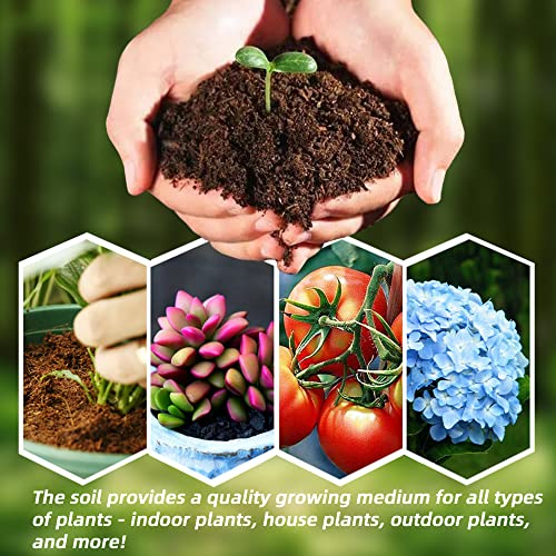 6 Qt Potting Soil, Organic Potting Mix for Indoor and Outdoor Plants, Succulent and Cactus Soil Potting Mix with Fast Draining Formula Natural Mixture Bonsai Soil for Plant Fast Growing