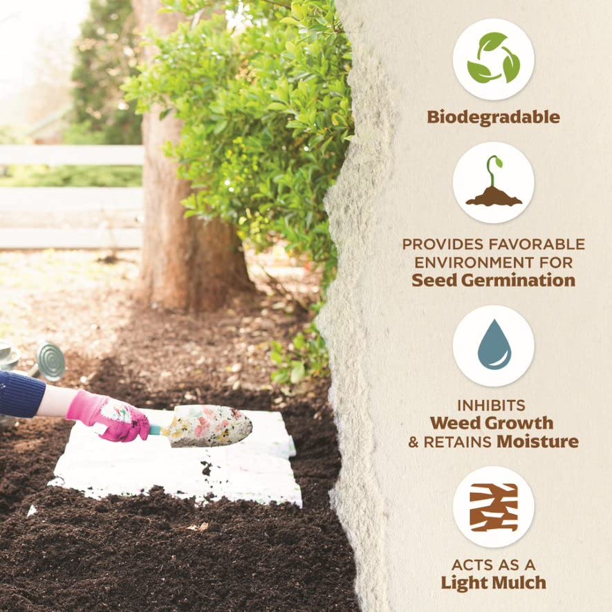 BloomingBulb Seed Mat - Easy to Plant and Grow Garden Seeds - Creates Fragrant, Vibrant Flower Garden β Customizable Flower Beds- Creeping Thyme Ground Cover
