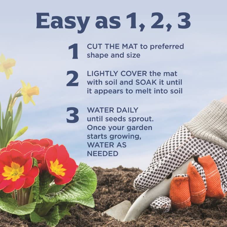BloomingBulb Seed Mat - Easy to Plant and Grow Garden Seeds - Creates Fragrant, Vibrant Flower Garden β Customizable Flower Beds- Creeping Thyme Ground Cover