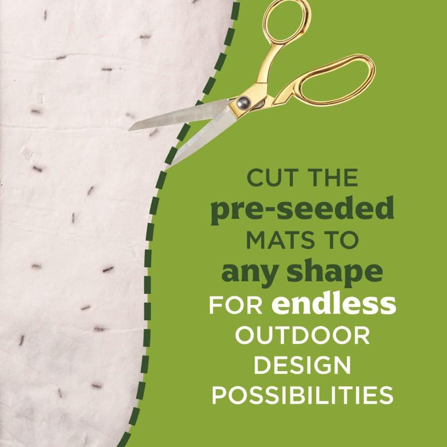 BloomingBulb Seed Mat - Easy to Plant and Grow Garden Seeds - Creates Fragrant, Vibrant Flower Garden β Customizable Flower Beds- Creeping Thyme Ground Cover