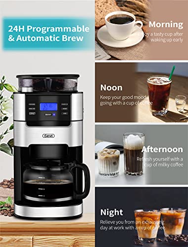 10-Cup Drip Coffee Maker, Grind and Brew Automatic Coffee Machine with Built-In Burr Coffee Grinder, Programmable Timer Mode and Keep Warm Plate, 1.5L Large Capacity Water Tank,900W, Black (Aluminum, 10 Cup)