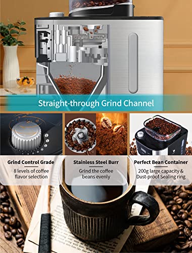 10-Cup Drip Coffee Maker, Grind and Brew Automatic Coffee Machine with Built-In Burr Coffee Grinder, Programmable Timer Mode and Keep Warm Plate, 1.5L Large Capacity Water Tank,900W, Black (Aluminum, 10 Cup)