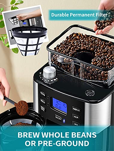10-Cup Drip Coffee Maker, Grind and Brew Automatic Coffee Machine with Built-In Burr Coffee Grinder, Programmable Timer Mode and Keep Warm Plate, 1.5L Large Capacity Water Tank,900W, Black (Aluminum, 10 Cup)