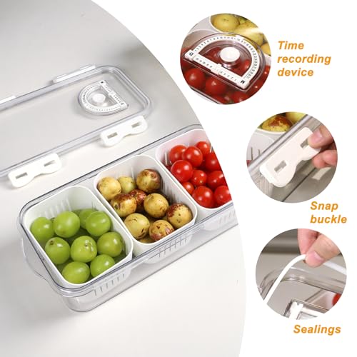 OZEPLASC Fruit Storage Containers for Fridge 3 Compartments Snack Box Container BPA-Free Divided Serving Tray with Lid Portable Veggie Fruit and Vegetable Containers for Fridge Party Travel Picnic