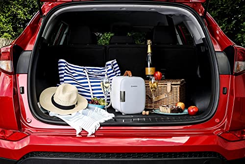 Subcold Pro4 Luxury Mini Fridge Cooler 4 Litre / 6 Cans AC & Exclusive USB ECO Power Option | Portable Small Refrigerator For The Office, Bedroom, Car, Travel, Skincare & Cosmetic (Gray)