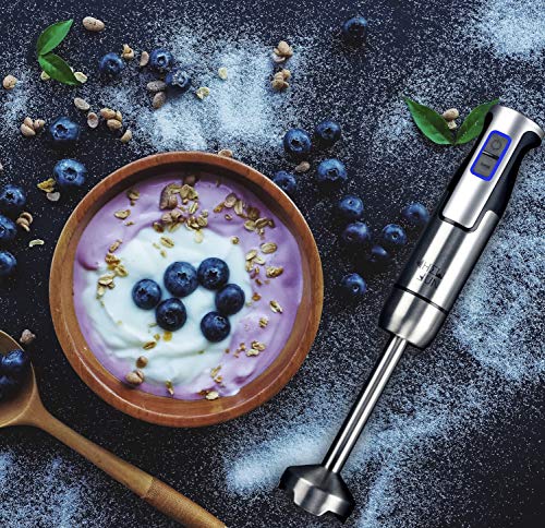 CHEW FUN Multipurpose Immersion Hand Blender Poweful 500 Watt,9-Speed,High Power Low Noise,3-in-1 includes Detachable Chopper,Egg Whisk,Milk Frother