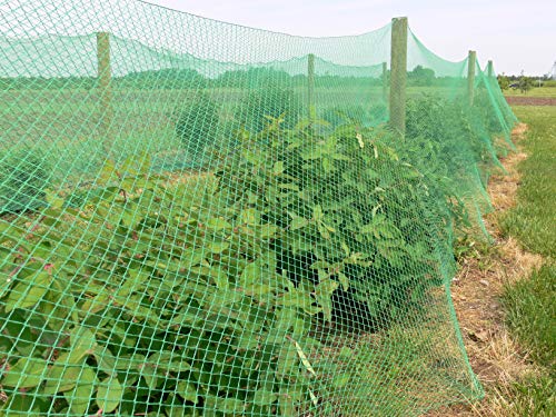 HSelar Best Bird Netting - Protect Plants and Fruit Trees from Birds and Wildlife – 13.12Ft x 49.2Ft Bird Netting with 50 Pcs Nylon Cable Ties - Reusable Instantly (Large Size)