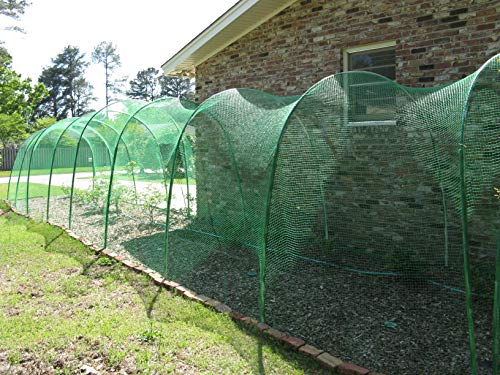 HSelar Best Bird Netting - Protect Plants and Fruit Trees from Birds and Wildlife – 13.12Ft x 49.2Ft Bird Netting with 50 Pcs Nylon Cable Ties - Reusable Instantly (Large Size)