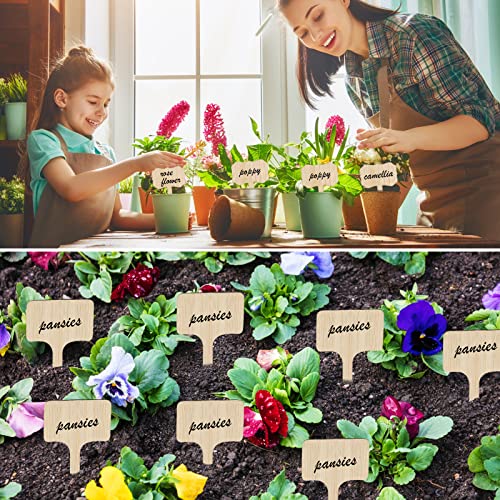 SKADADYL 50 Pcs Bamboo Plant Labels,Garden Plant Labels,Nursery Garden Labels with 1 Pcs Garden Pen (T-Style, 2.76*3.15inch)