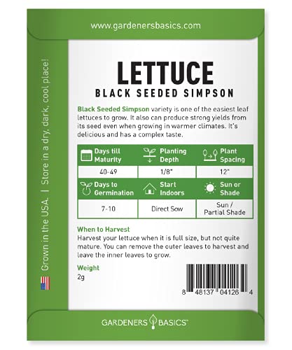 Green Leaf Lettuce Seeds For Planting - (Black Seeded Simpson Variety) Heirloom, Non-GMO Lettuce Variety- 2 Grams Seed Great For Spring, Summer, Fall, Winter Garden and Hydroponics by Gardeners Basics
