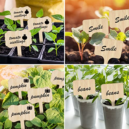 SKADADYL 50 Pcs Bamboo Plant Labels,Garden Plant Labels,Nursery Garden Labels with 1 Pcs Garden Pen (T-Style, 2.76*3.15inch)