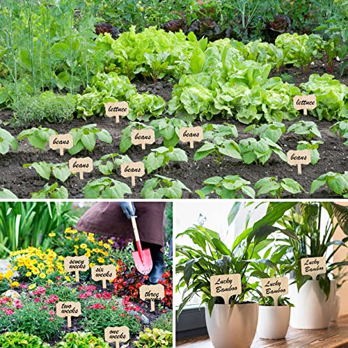 SKADADYL 50 Pcs Bamboo Plant Labels,Garden Plant Labels,Nursery Garden Labels with 1 Pcs Garden Pen (T-Style, 2.76*3.15inch)