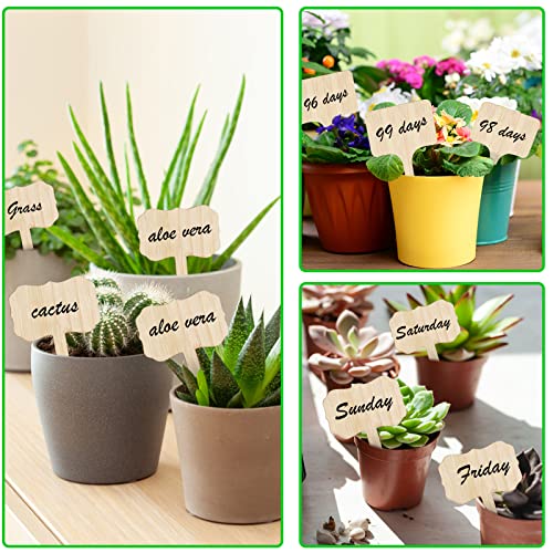 SKADADYL 50 Pcs Bamboo Plant Labels,Garden Plant Labels,Nursery Garden Labels with 1 Pcs Garden Pen (T-Style, 2.76*3.15inch)