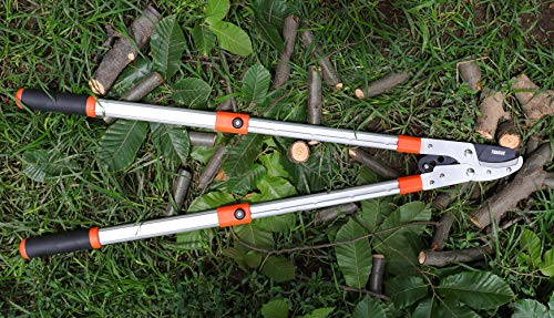 THANOS A1101 Extendable Anvil Loppers Tree Trimmer with Compound Action,Chops Thick Branch Ease,28-40'' Telescopic Heavy Duty Branch Cutter,2 inch Clean Cut Capacity.