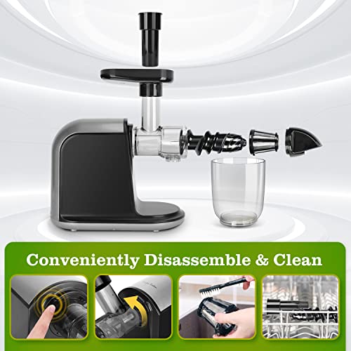 Juicer Machines, Taylor Swoden Slow Masticating Juicer with Reverse Function & Quiet Motor, Cold Press Juicer Machine with High Juice Output, Juicer Extractor Easy to Clean, include Brush & Recipes