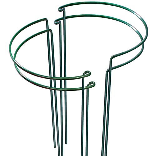 LEOBRO 4 Pack Plant Support Stake, Metal Garden Plant Stakes, Peony Support, Tomato Cage, Half Round Plant Support Ring Cage, Plant Support for Tomato, Rose, Vine, Indoor Plants (9.8" W x 15.7" H)