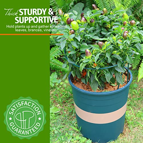 LEOBRO 4 Pack Plant Support Stake, Metal Garden Plant Stakes, Peony Support, Tomato Cage, Half Round Plant Support Ring Cage, Plant Support for Tomato, Rose, Vine, Indoor Plants (9.8" W x 15.7" H)